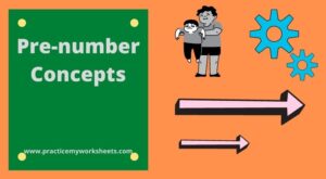 Importance Of Pre-number Concepts | Free Worksheets