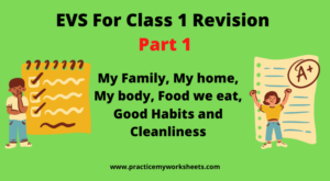 EVS For Class 1 Revision - Part 1
