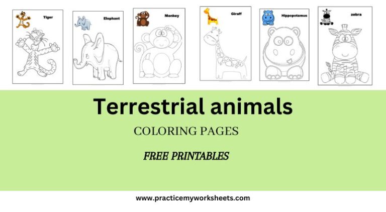 Terrestrial Animals Coloring Pages | Free Printable