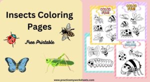 Insects Coloring Pages | Free Printable